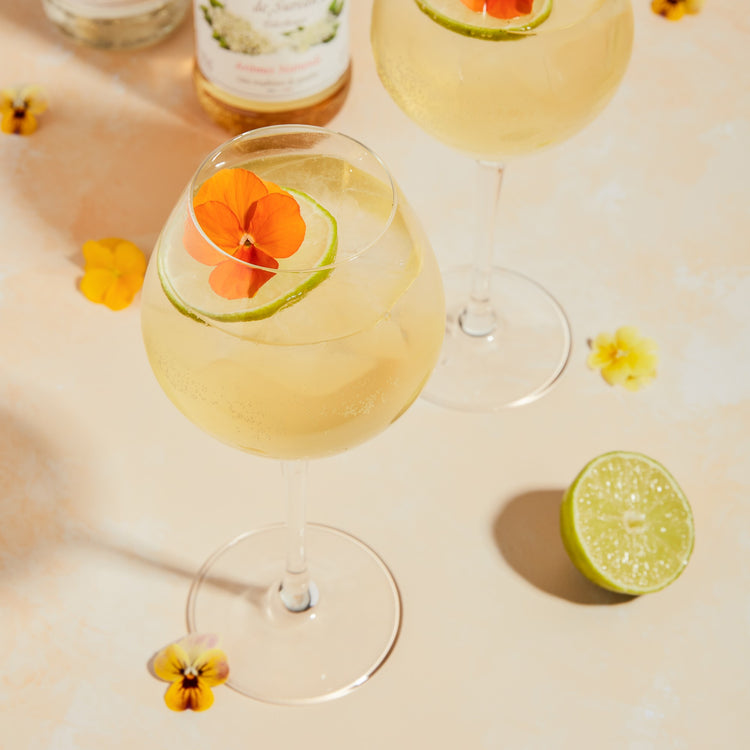 Recette Hugo Spritz | Les applications Monin